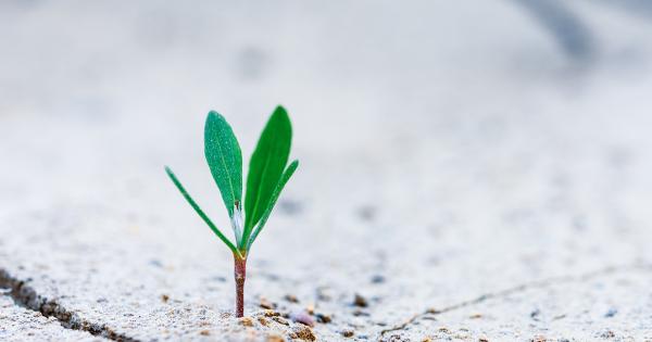 Post-Pandemic Leadership: come cambia la gestione d’impresa al tempo ...